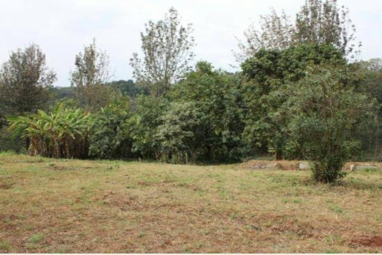 Old Kitisuru 1 One acre Thigiri Lane Clean Tittle deed Very Prime 120M ...